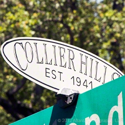 Collier Hills